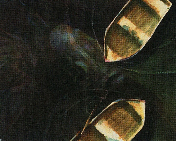 Dandân (TSB) #19 | Dragon Shield MTG Card Manager