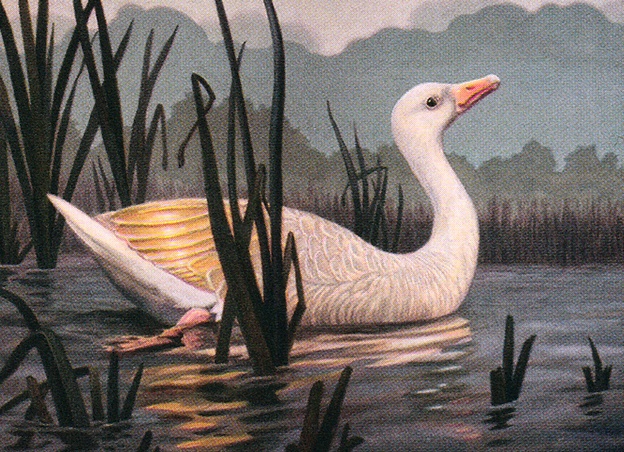 Gilded Goose (SLD) #93 | Dragon Shield MTG Card Manager