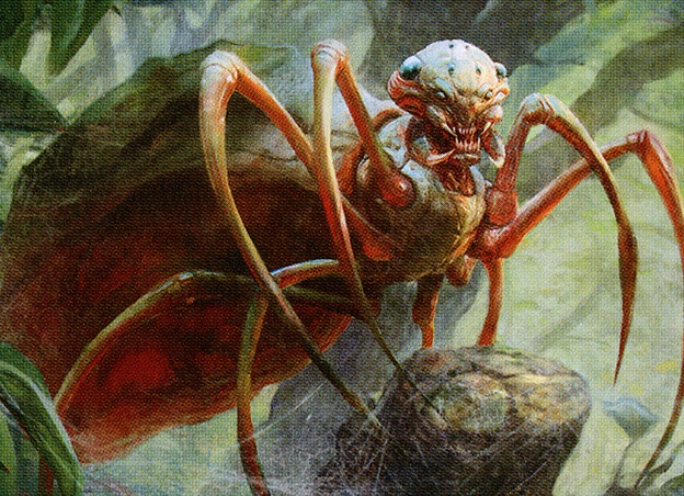 Spider Token (TTHB) #10 | Dragon Shield MTG Card Manager