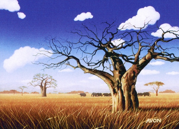 Grasslands (DMC) #214 | Dragon Shield MTG Card Manager