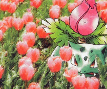 Erika's Ivysaur (GYM2) #41 | Dragon Shield Poké TCG Card Manager